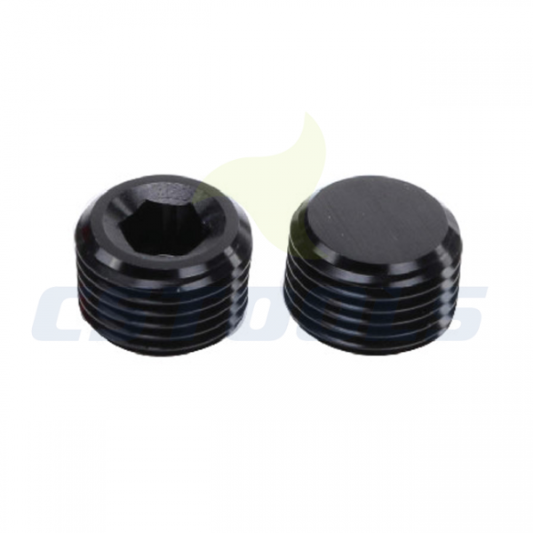 HEX SOCKET PIPE PLUGS - CÔNG TY TNHH MỘT THÀNH VIÊN CHANG SUNG